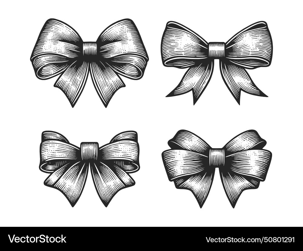 Bow set engraving sketch Royalty Free Vector Image