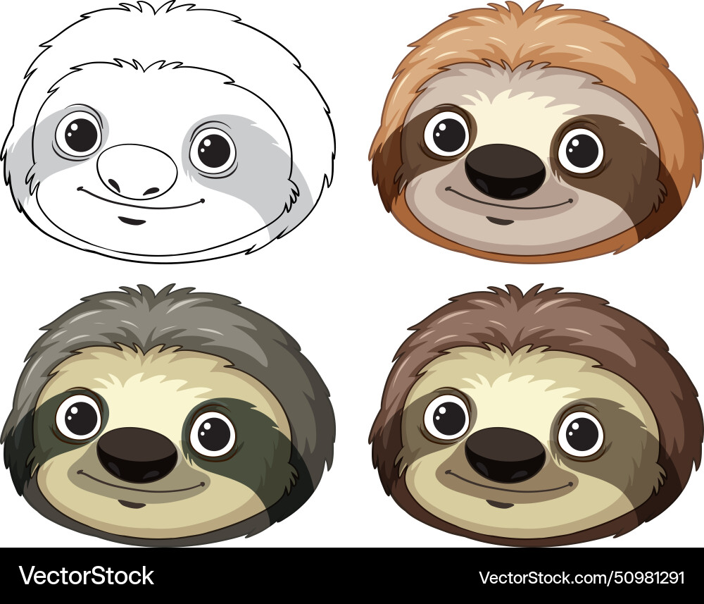 Four stylized sloth faces with different Vector Image