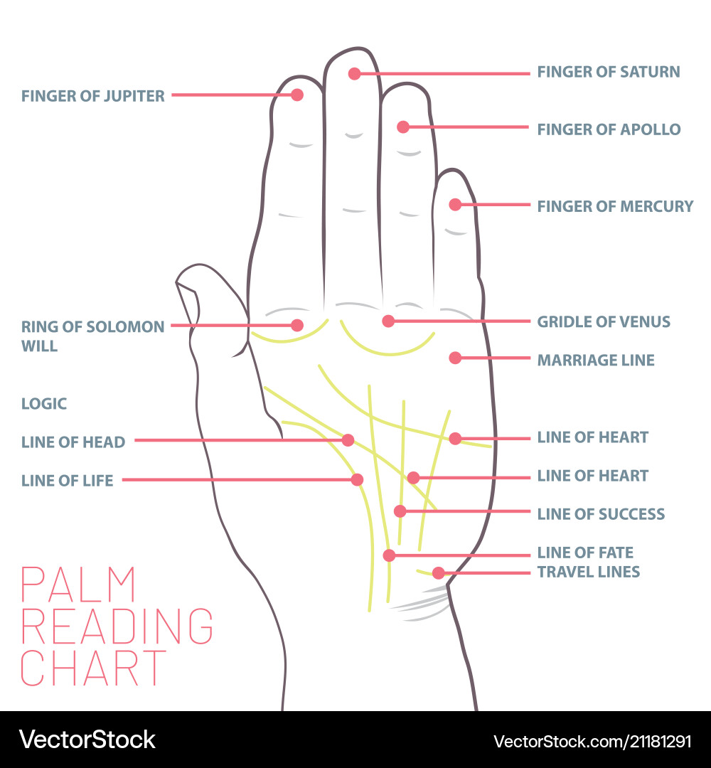 Palm Reading Chart - Palmistry Map Royalty Free Vector Image