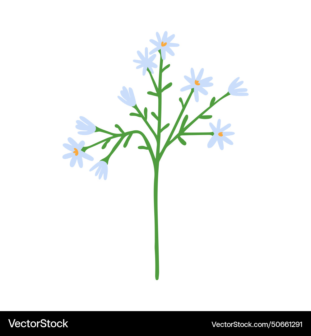 Spring flower stem floral branch meadow Royalty Free Vector