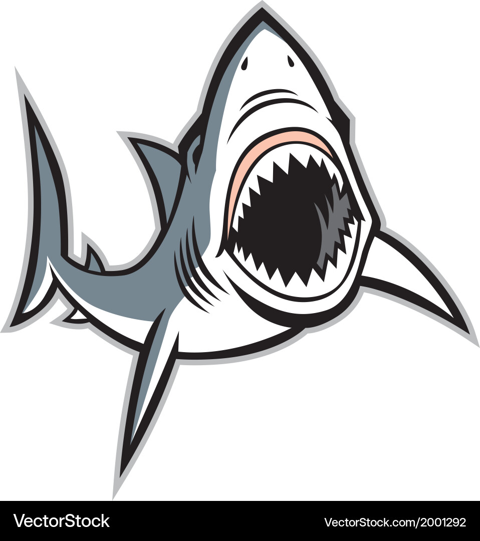 Aggressive Shark with Open Mouth Royalty Free Vector Image