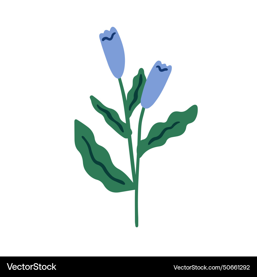 Spring flower floral stem blooming field Vector Image