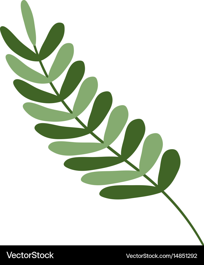 Stem with leaves icon Royalty Free Vector Image