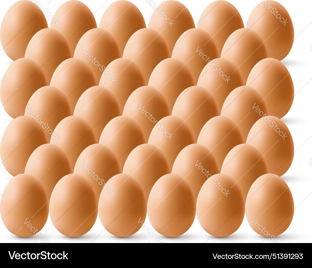 Chicken eggs Royalty Free Vector Image - VectorStock