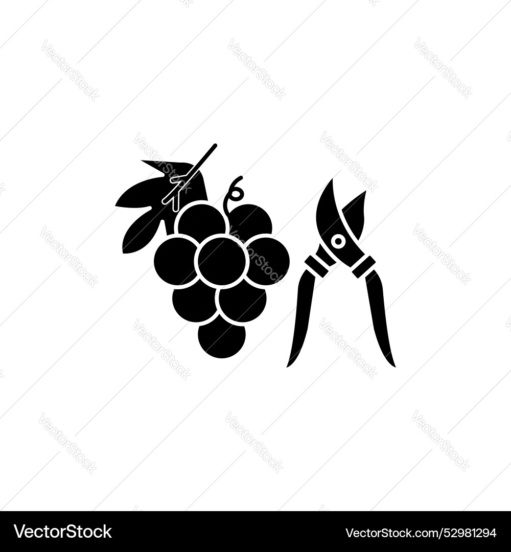 Pruning grape icon set wine plant shears symbol Vector Image
