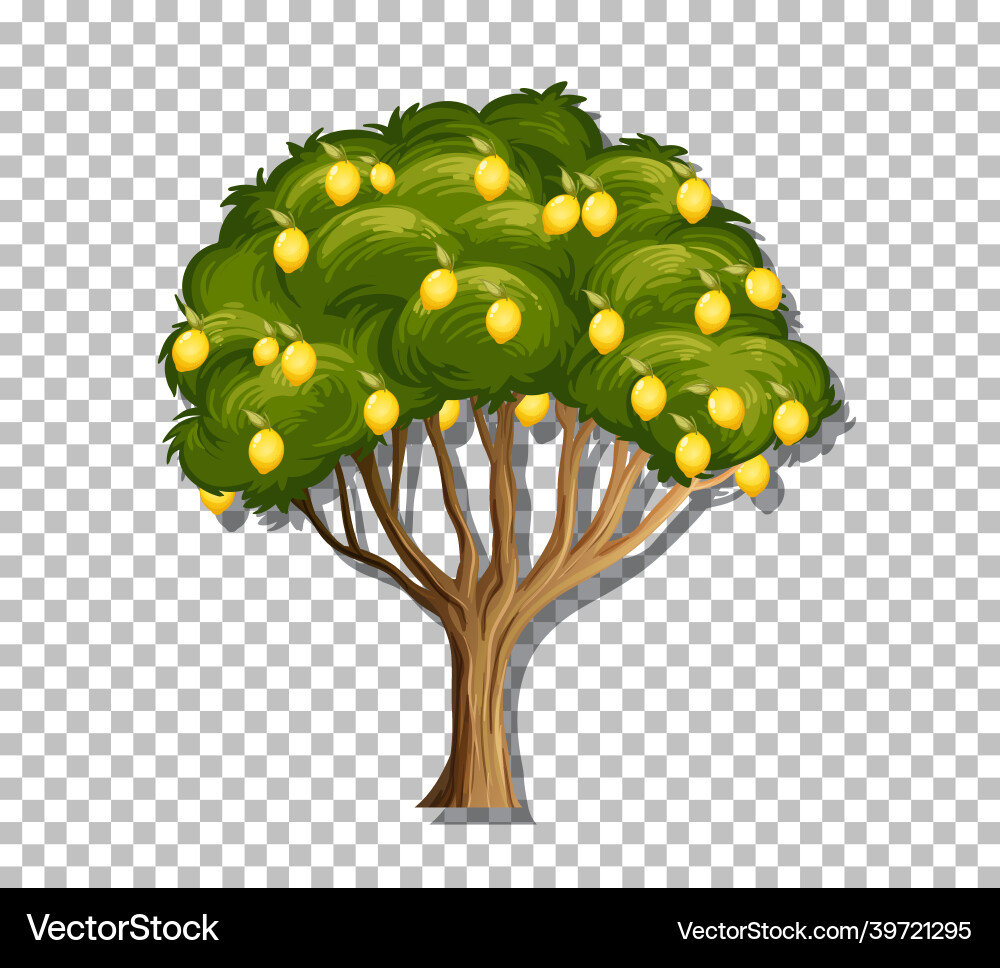 Lemon tree on transparent background Royalty Free Vector