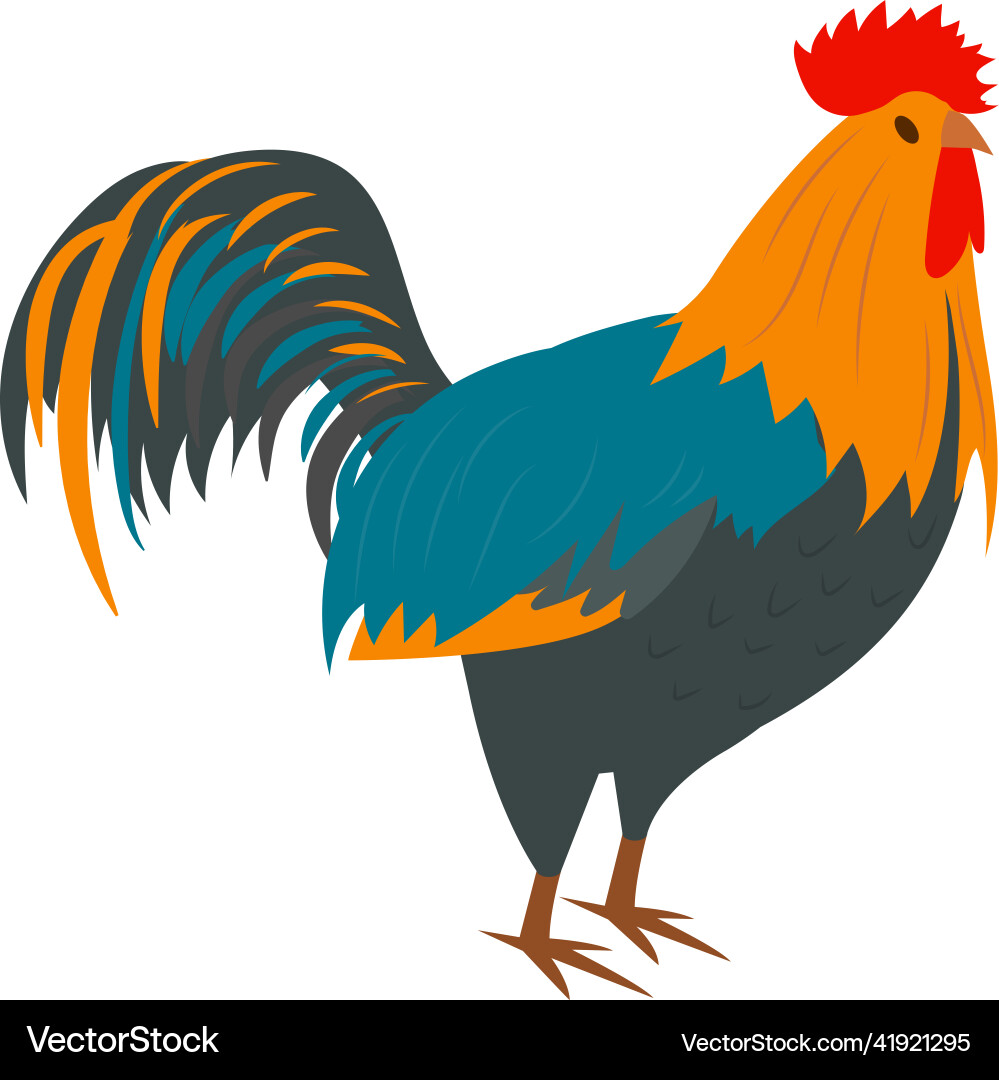 Poultry farm rooster composition Royalty Free Vector Image