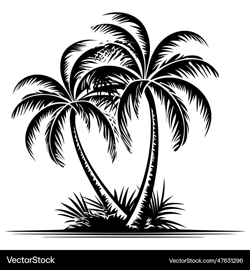 Palm trees black and white Royalty Free Vector Image