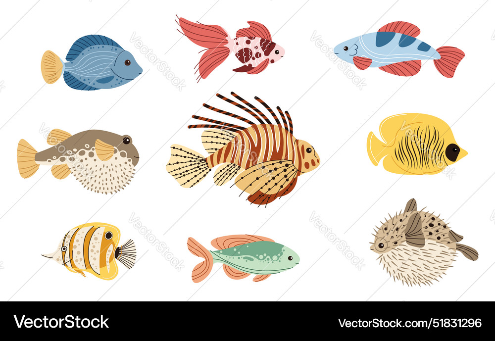Set with hand drawn tropical fish inhabitants Vector Image