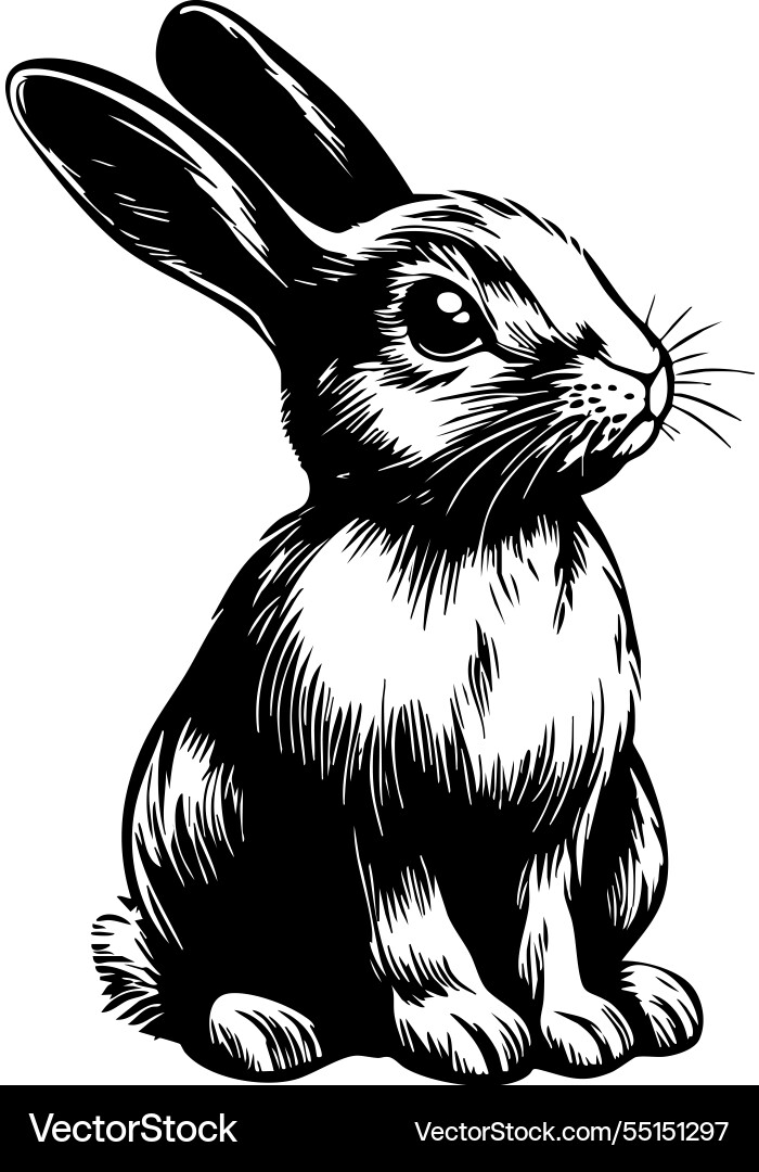 Cute rabbit sitting pose wildlife animals Vector Image