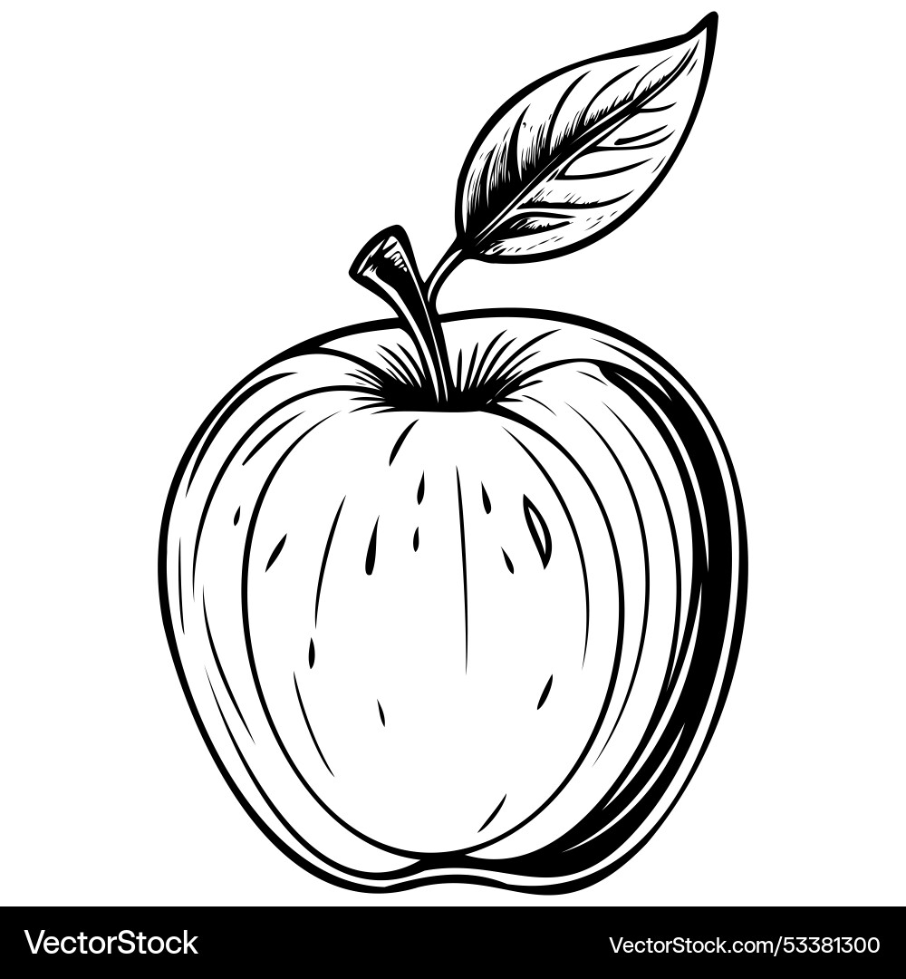 Drawing fruit ambrosia apple hand drawn Royalty Free Vector