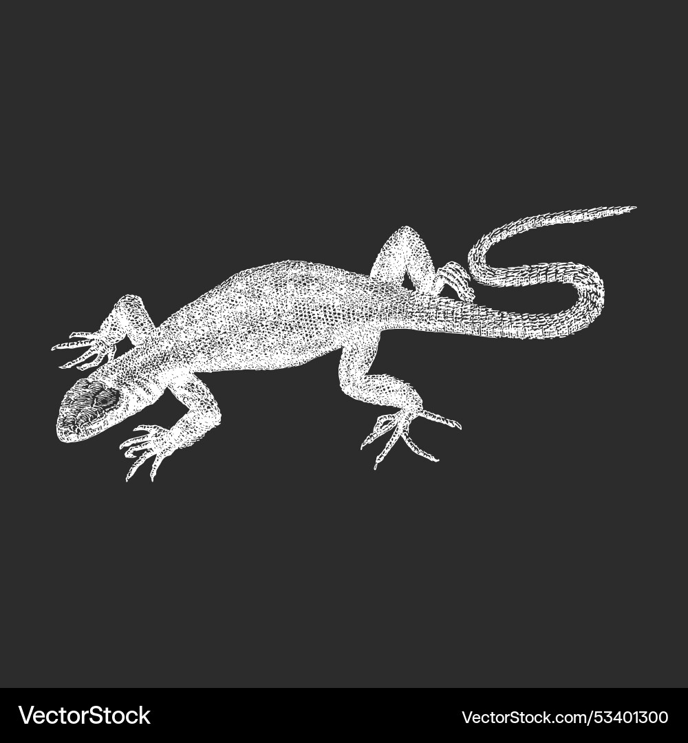 Lizard vintage hand drawn sketch Royalty Free Vector Image
