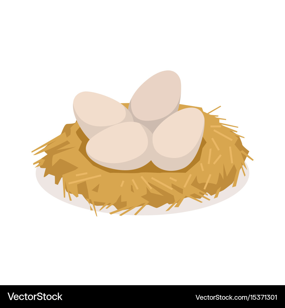 Chicken eggs in the nest poultry breeding Vector Image