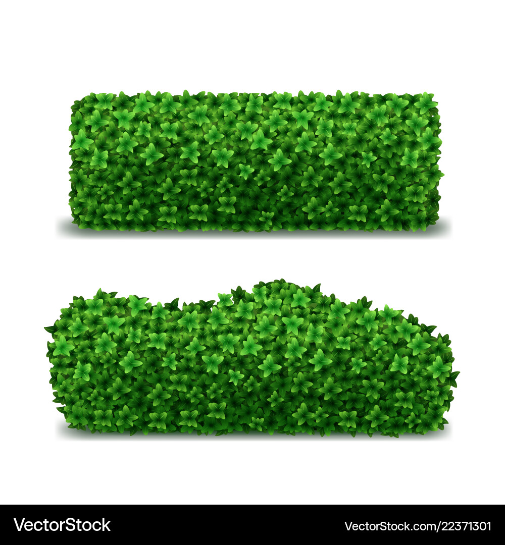 Detailed Green Hedges Set Royalty Free Vector Image