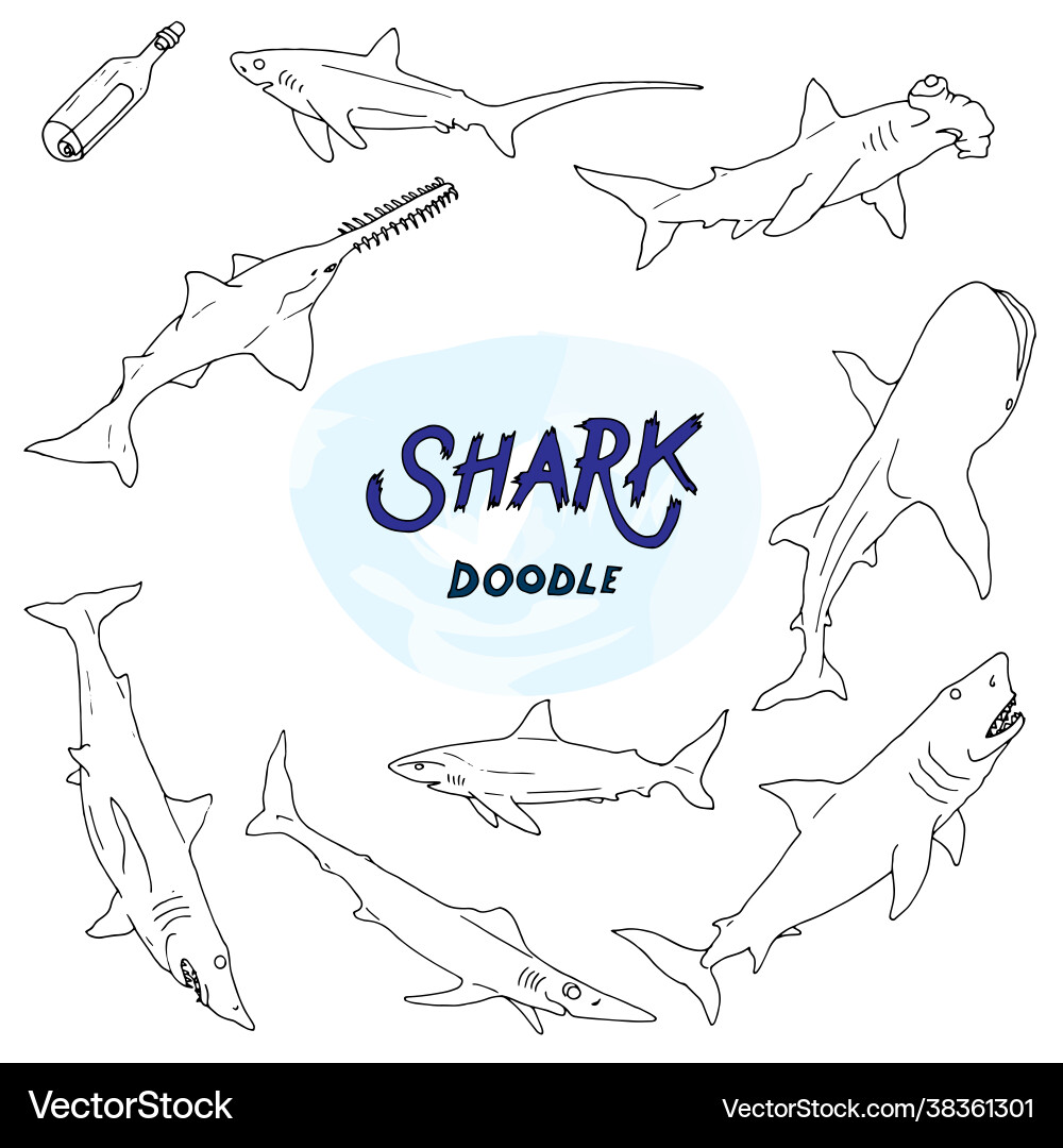 Shark doodle Royalty Free Vector Image - VectorStock