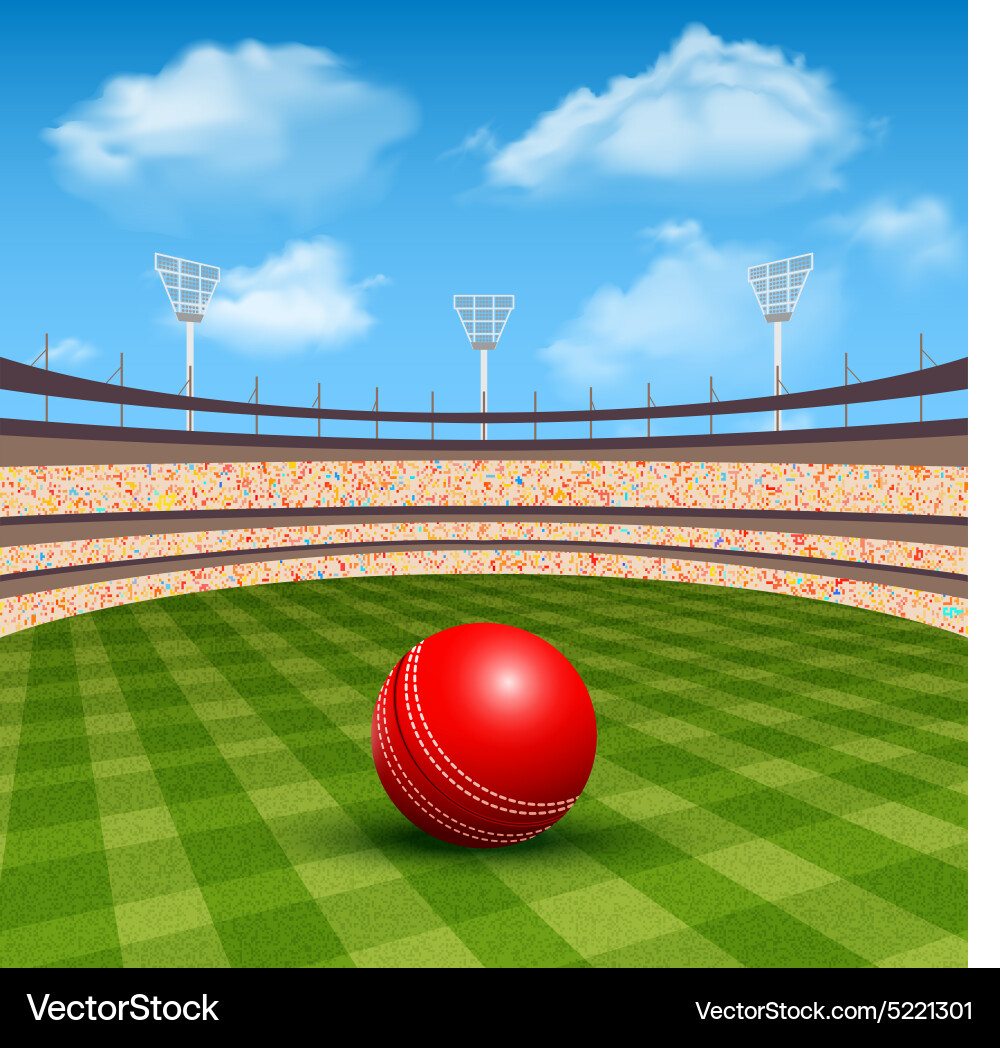 Stadium of cricket Royalty Free Vector Image - VectorStock