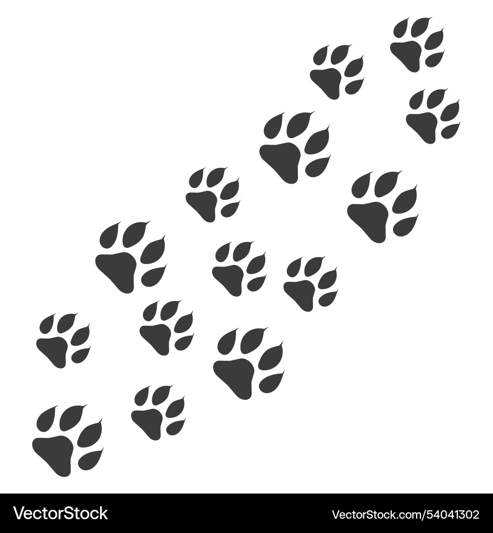 Paw logo design template Royalty Free Vector Image