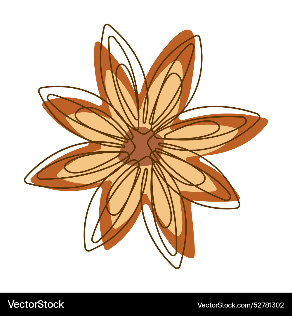 Star anise spice condiment aromatic herbal Vector Image