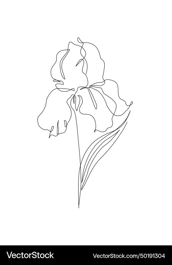 Continuous Line Iris Flower Royalty Free Vector Image