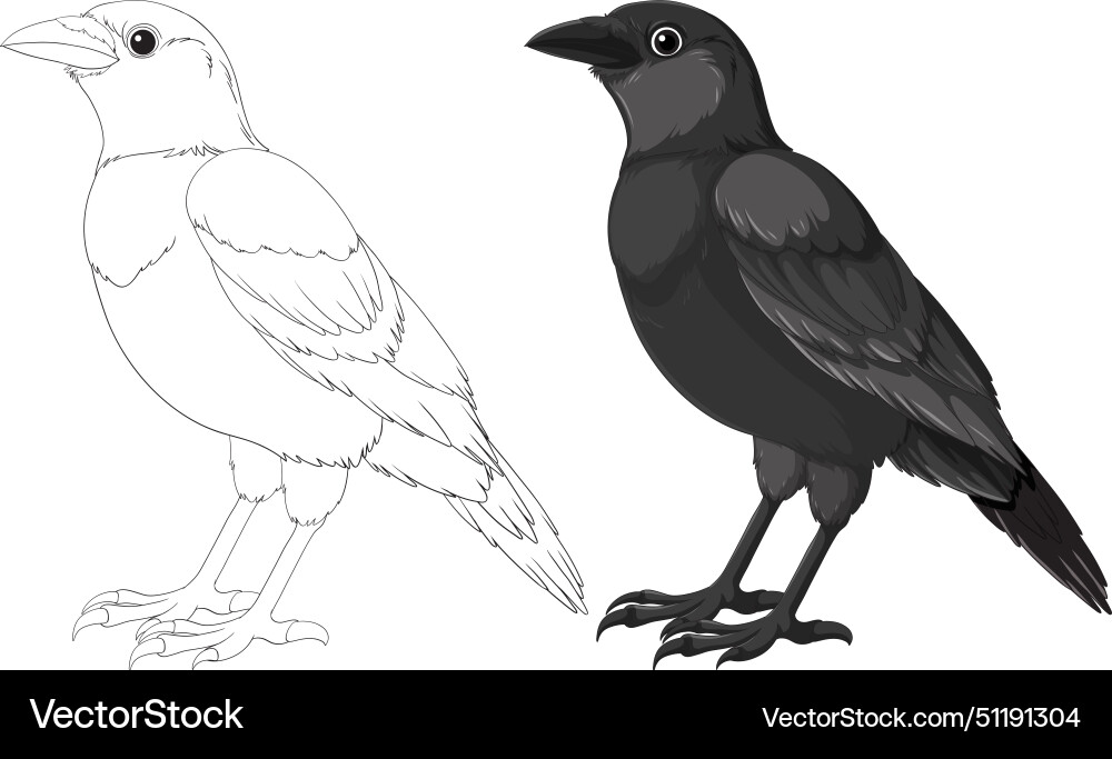 Crows in black and white Royalty Free Vector Image