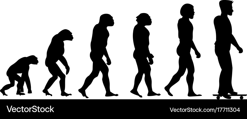 Evolution sport silhouette Royalty Free Vector Image