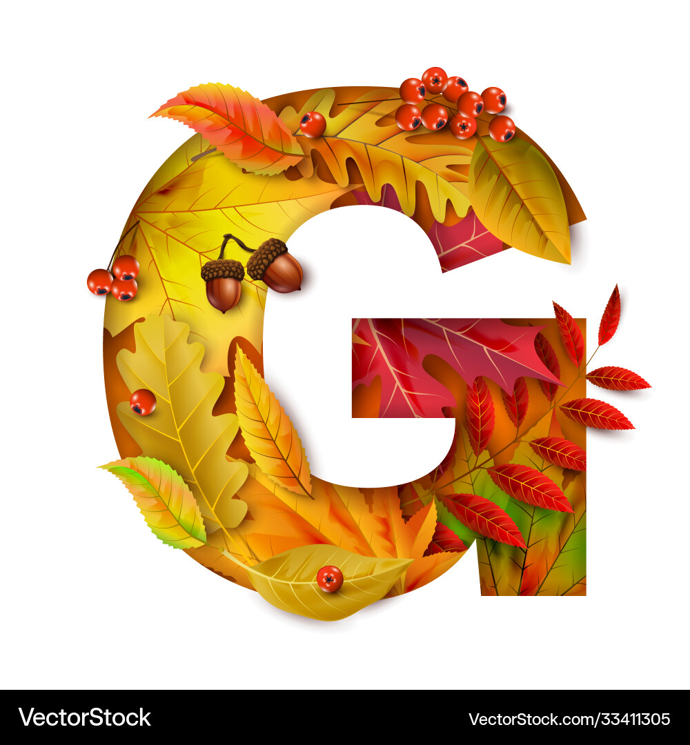 Autumn stylized alphabet with foliage letter g Vector Image