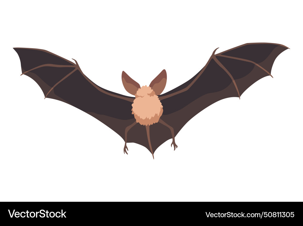 Bat concept cartoon clipart Royalty Free Vector Image