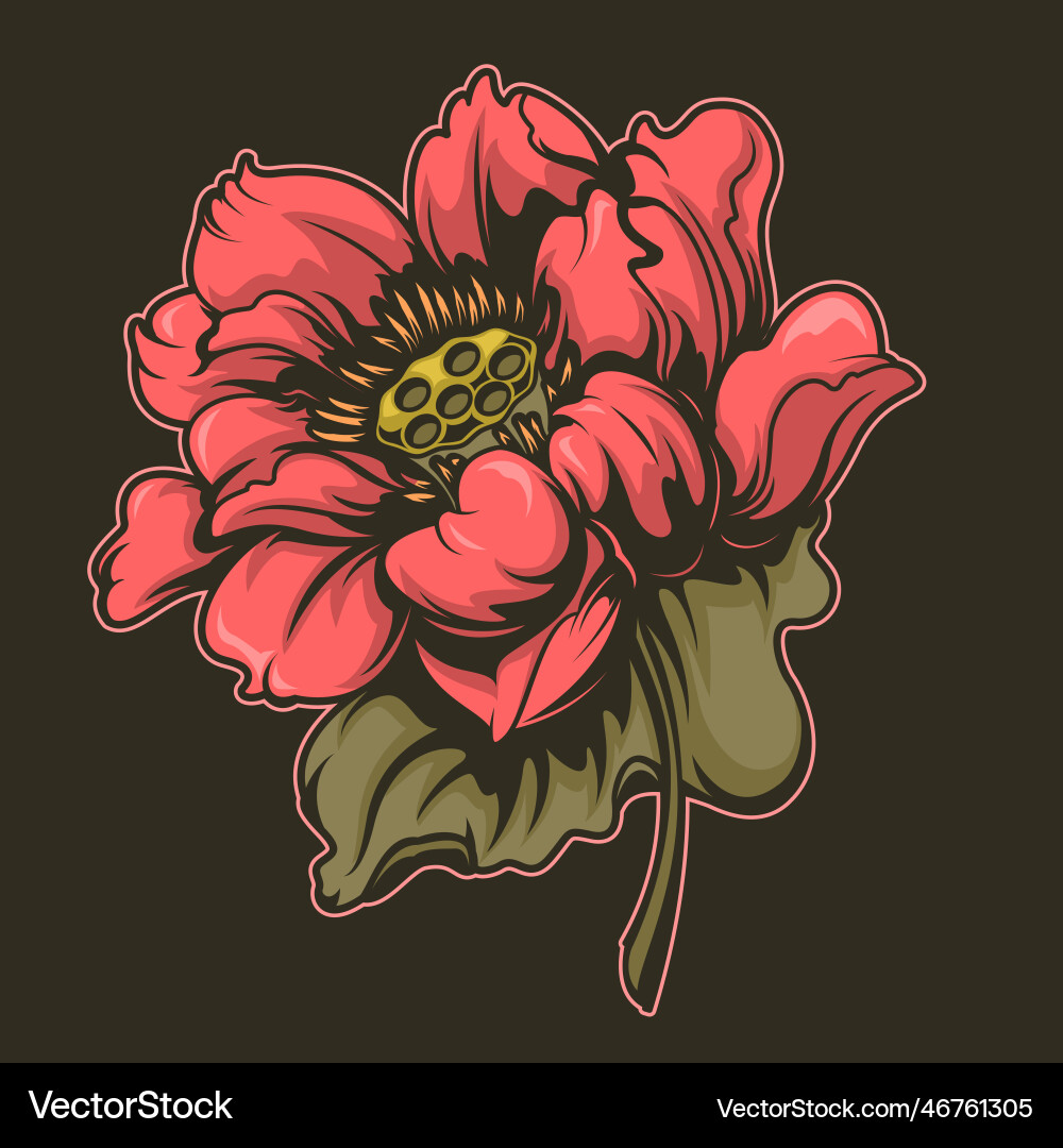 Lotus flower Royalty Free Vector Image - VectorStock