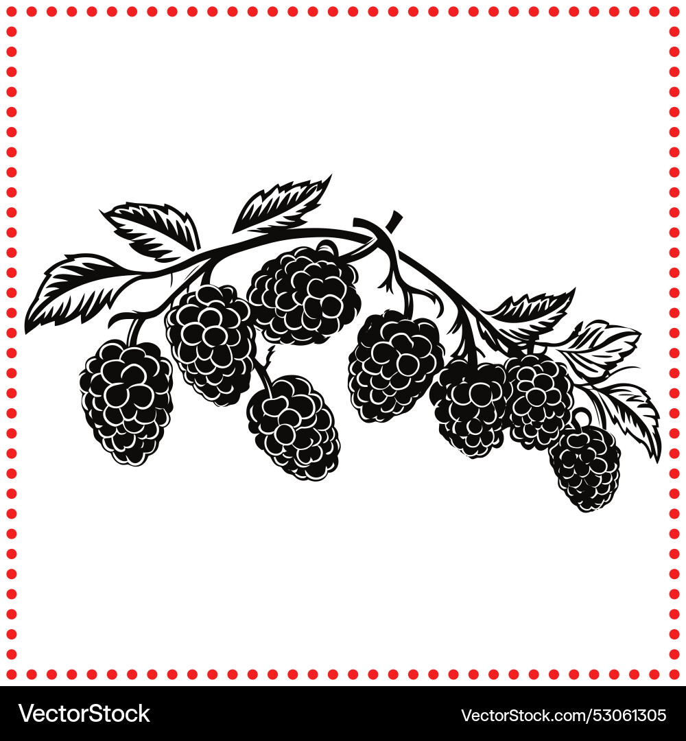 Sweet and simple raspberry silhouette Royalty Free Vector