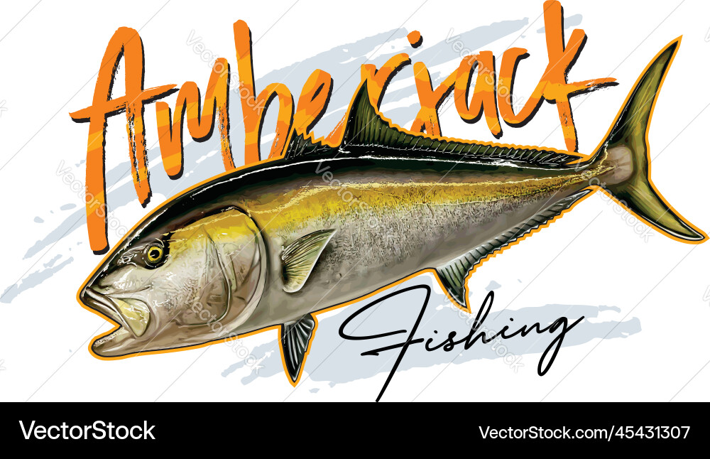 Amberjack fishing Royalty Free Vector Image - VectorStock