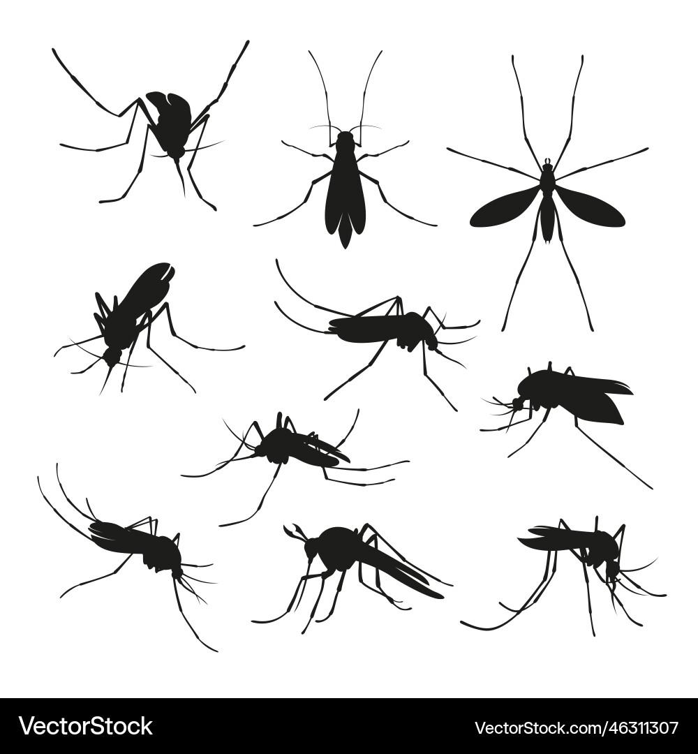 Mosquito black silhouette set flying insect Vector Image
