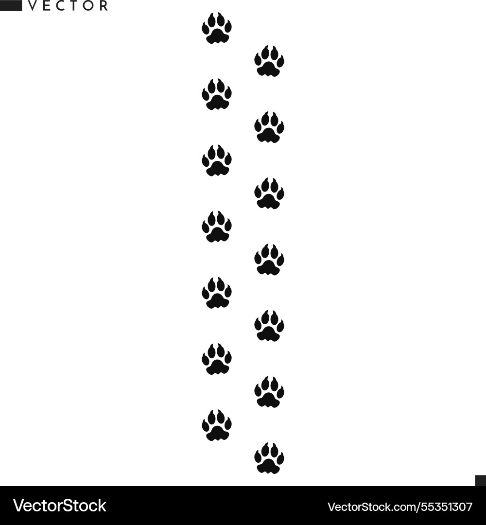 Tiger footprints silhouette animal Royalty Free Vector Image