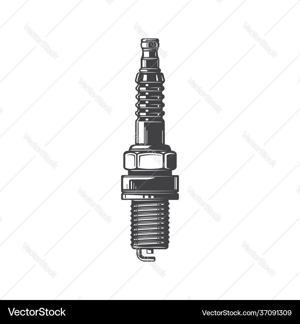 Plug one side electrode isolated car spare part Vector Image