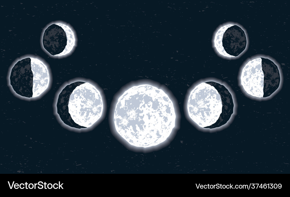 Seven moon phases set Royalty Free Vector Image