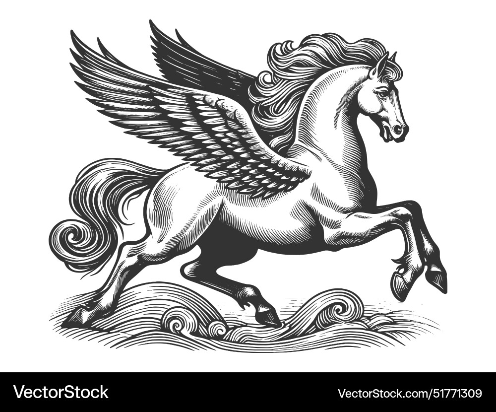 Winged pegasus engraving Royalty Free Vector Image