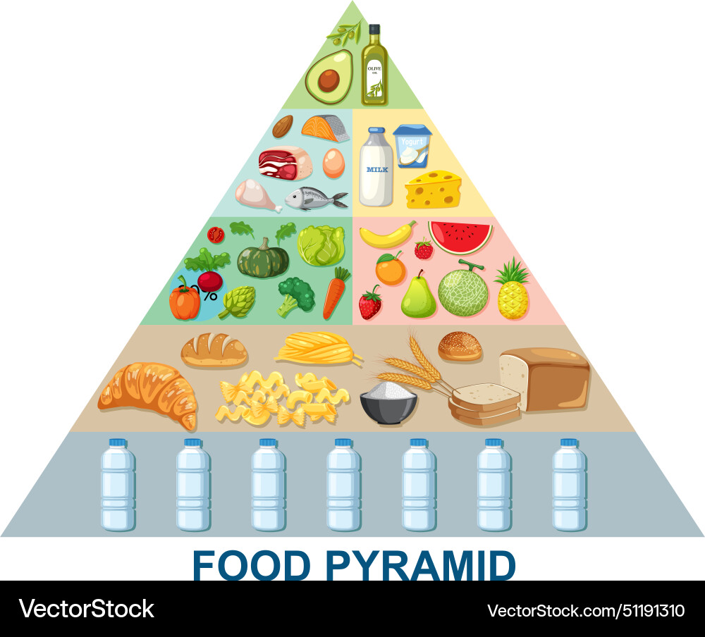 A food pyramid with various food groups Royalty Free Vector