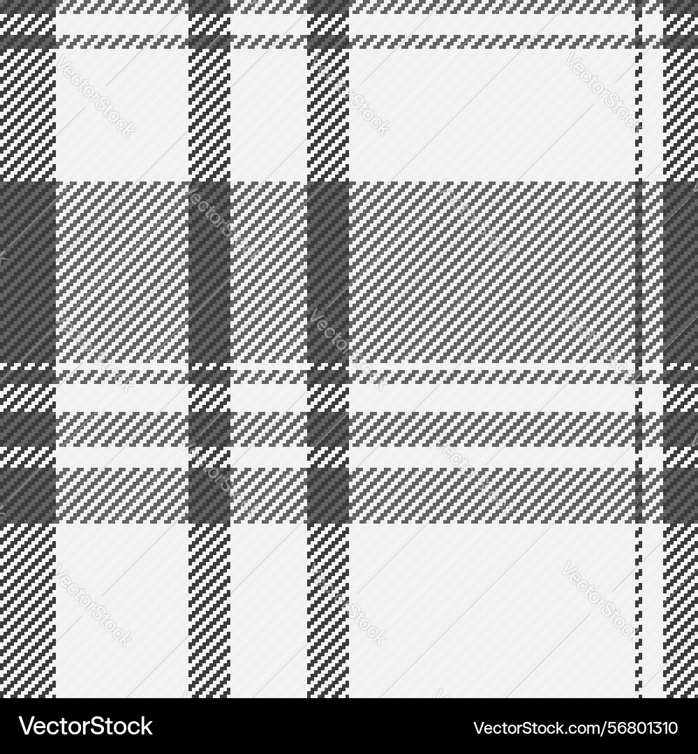 Elegant grayscale plaid pattern perfect Royalty Free Vector