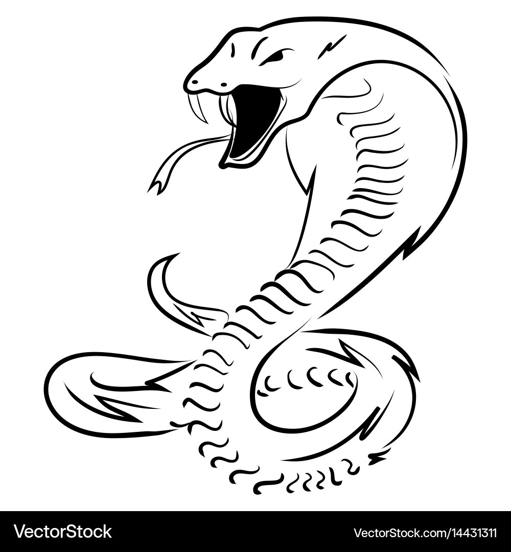 Hand draw king cobra Royalty Free Vector Image