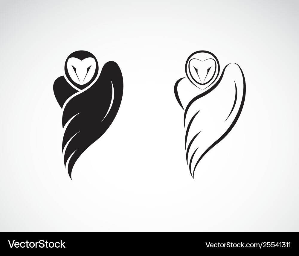 Owl design on a white background wild animals Vector Image