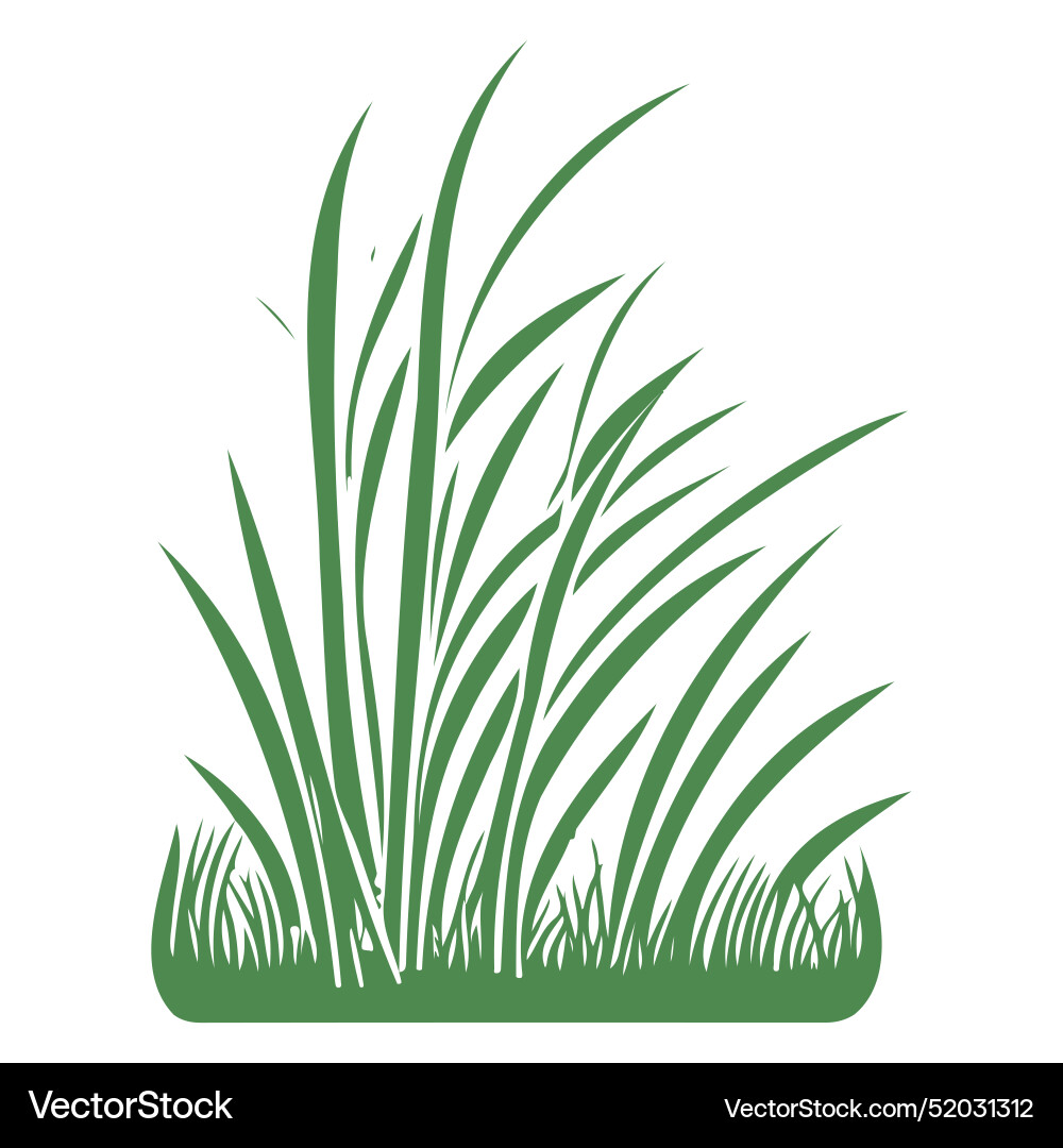 Grass garden green Royalty Free Vector Image - VectorStock