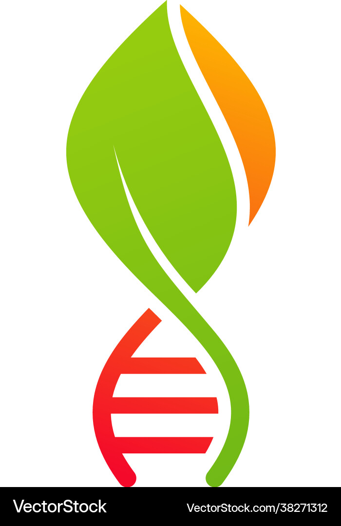 Leaf dna logo template creative design Royalty Free Vector