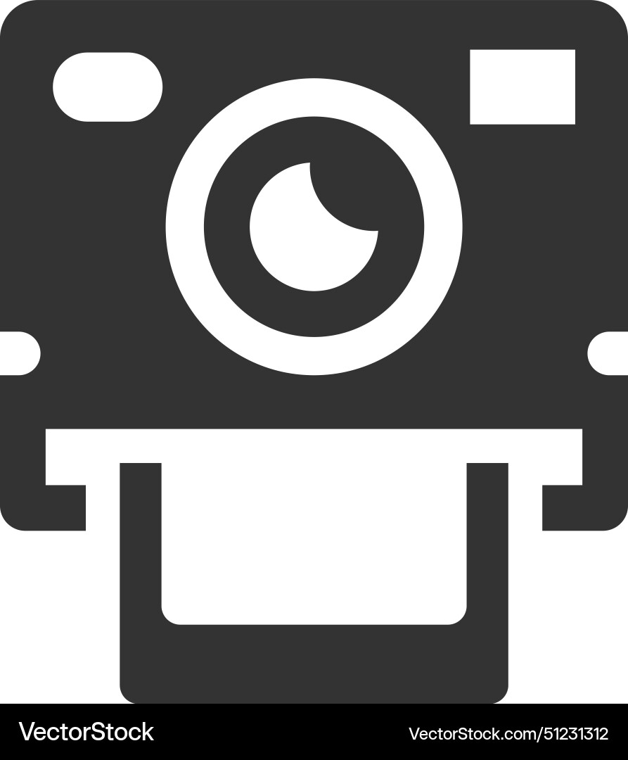 Polaroid camera icon Royalty Free Vector Image