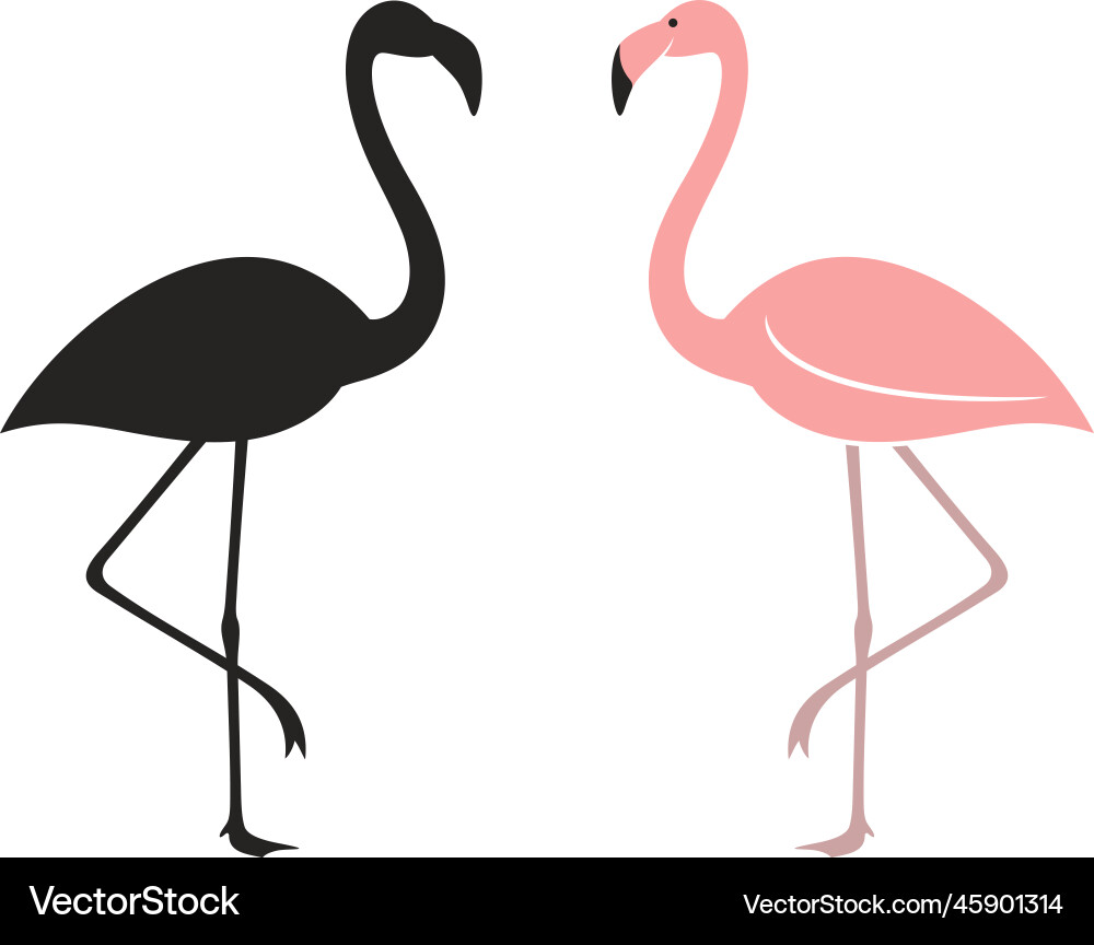 Flamingo Royalty Free Vector Image - VectorStock