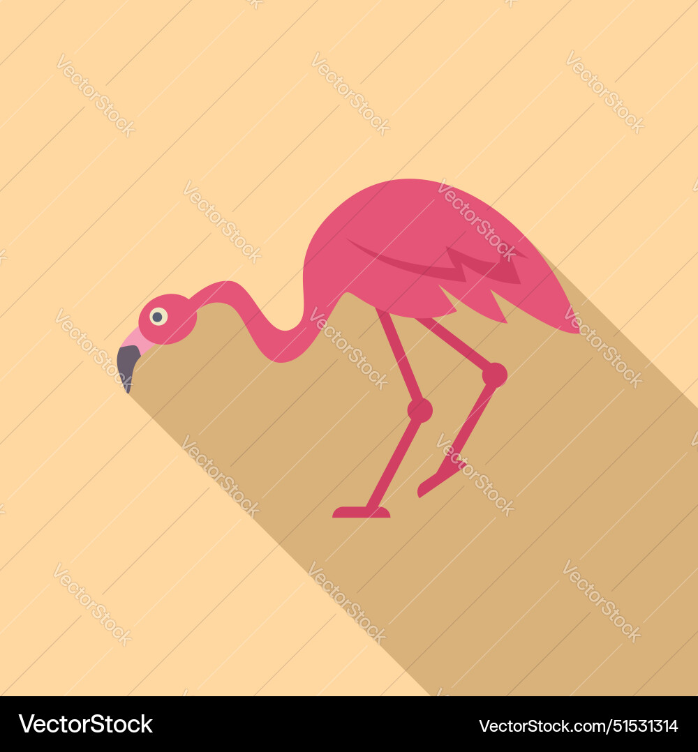 Pink flamingo walking long shadow Royalty Free Vector Image
