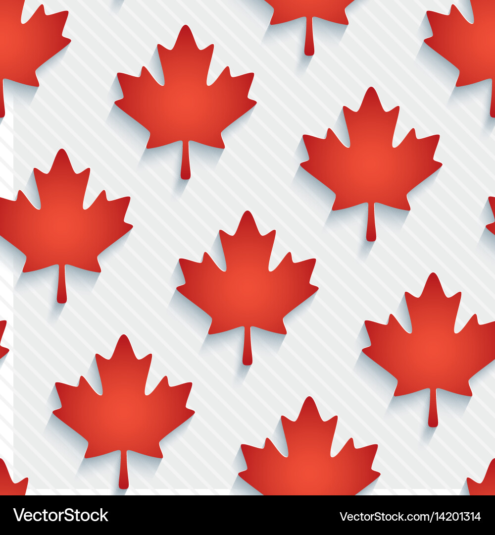 Red maple leaves wallpaper Royalty Free Vector Image