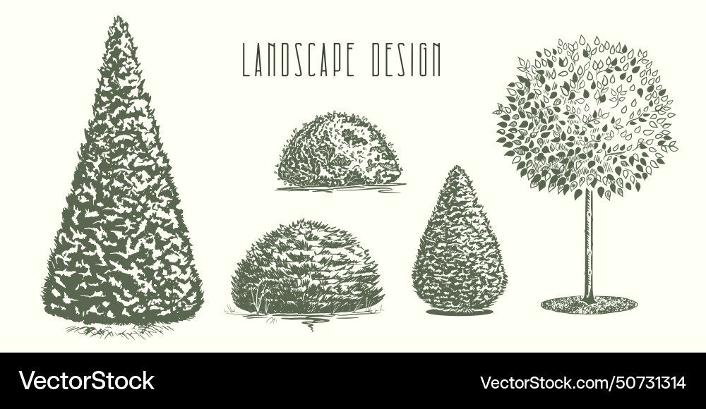 Set of coniferous and deciduous plants Royalty Free Vector