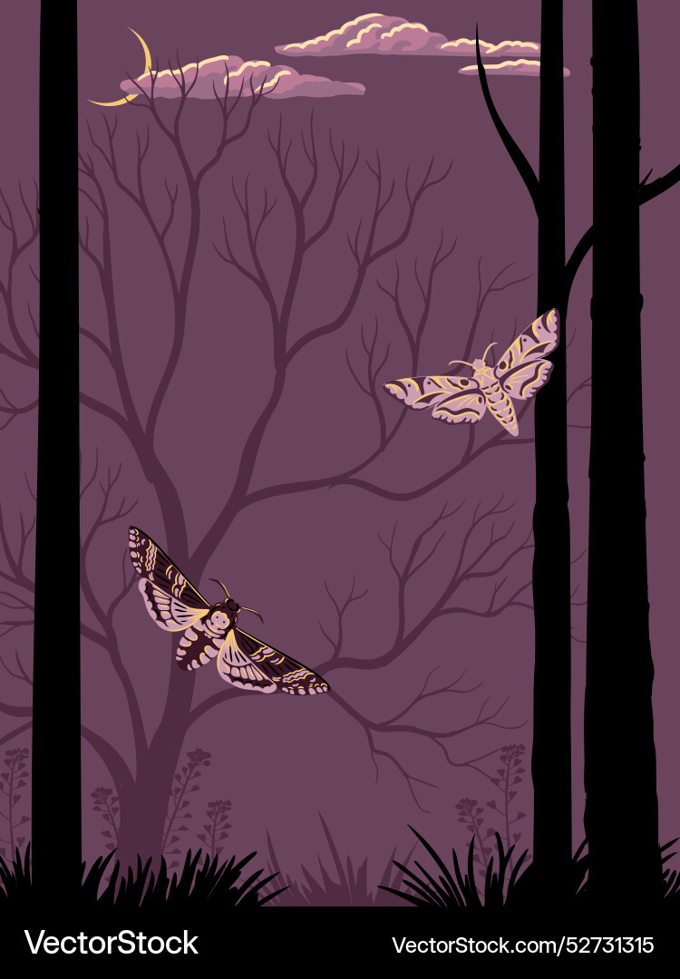 Drawing night forest landscape Royalty Free Vector Image