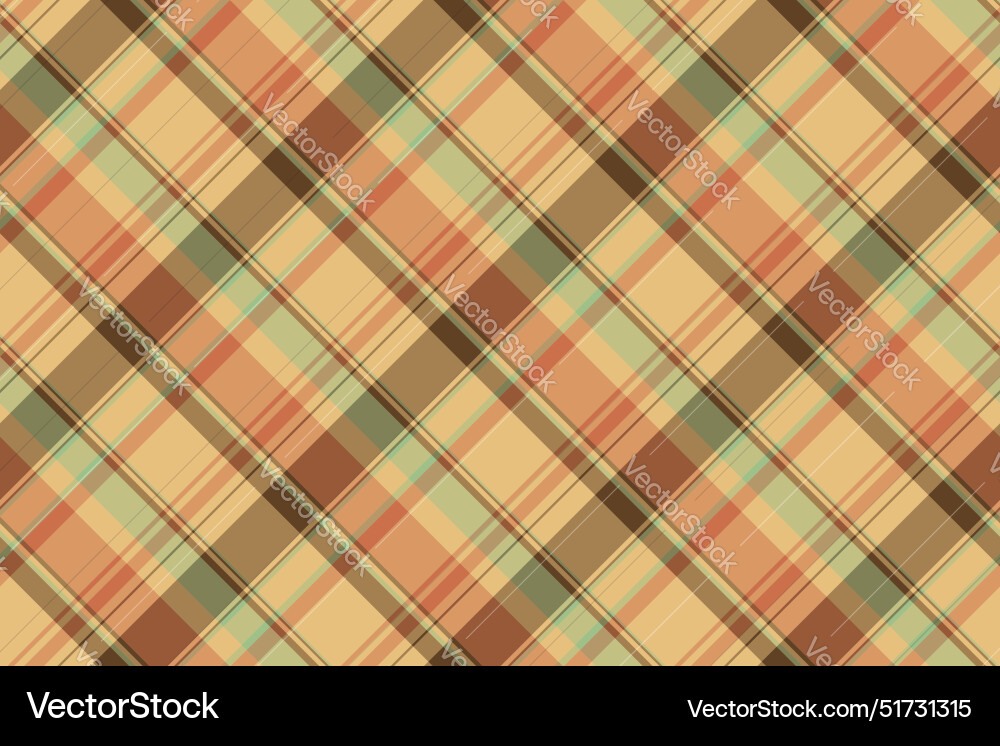 Latin texture textile france check plaid pattern Vector Image