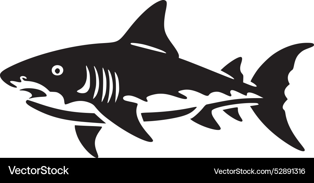 Shark - minimalist and simple silhouette Vector Image