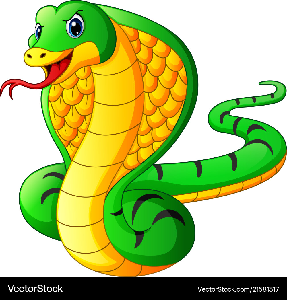 Cobra snake cartoon Royalty Free Vector Image - VectorStock